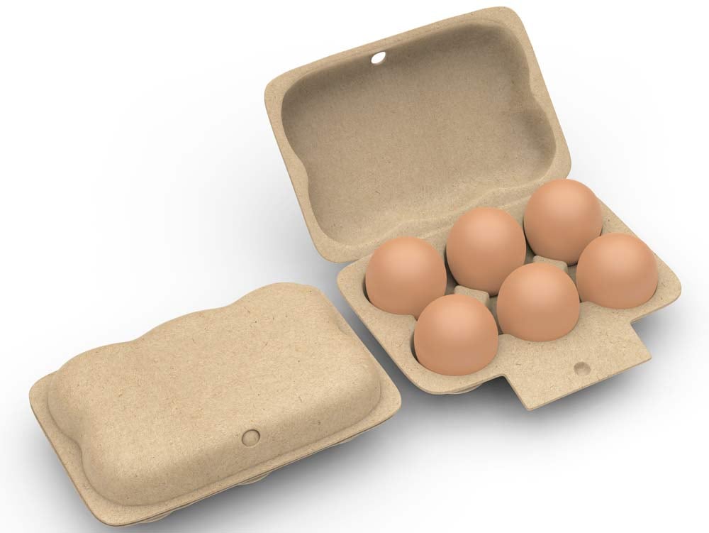 Exploring The Different Types Of Clamshell Packaging